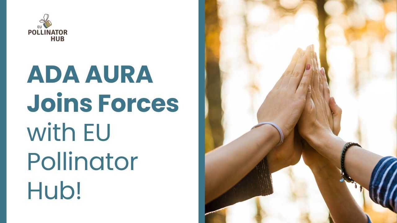 ADA AURA Joins Forces with EU Pollinator Hub! - EU Pollinator Hub