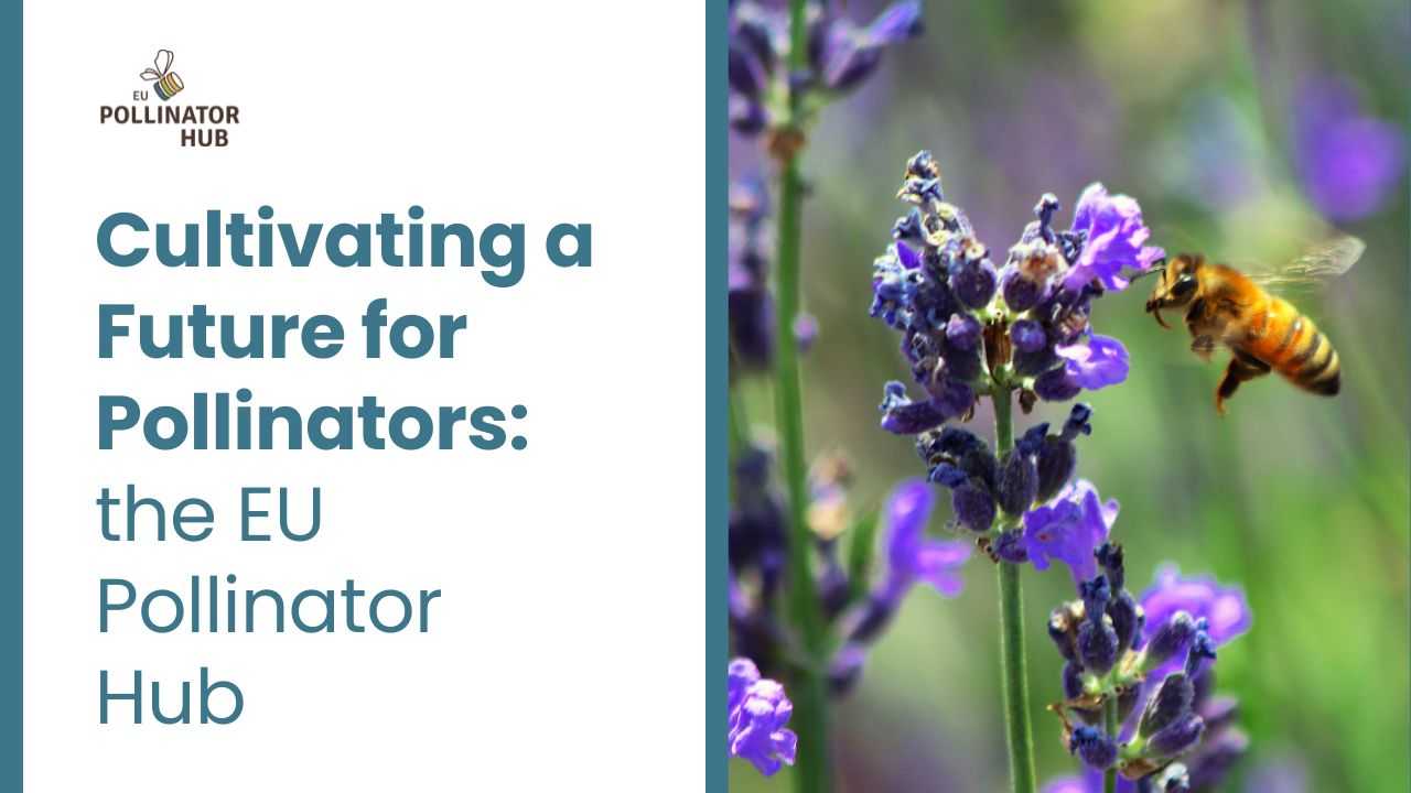 Cultivating a Future for Pollinators Through Data: the EU Pollinator ...