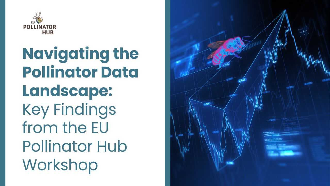 Navigating the Pollinator Data Landscape: Key Findings from the EU Pollinator Hub Workshop - EU ...