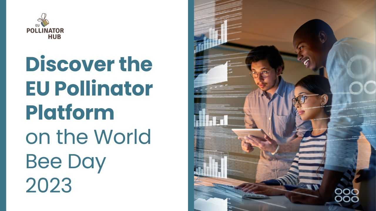 Discover the EU Pollinator Platform on the World Bee Day 2023 - EU ...