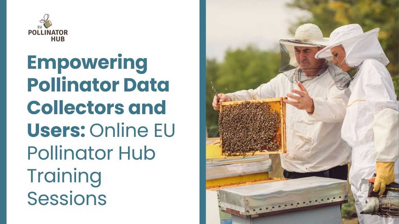 Empowering Pollinator Data Collectors and Users: Online EU Pollinator Hub Training Sessions - EU ...